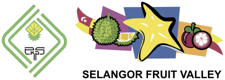 Selangor Fruit Valley – Sharing the Experience
