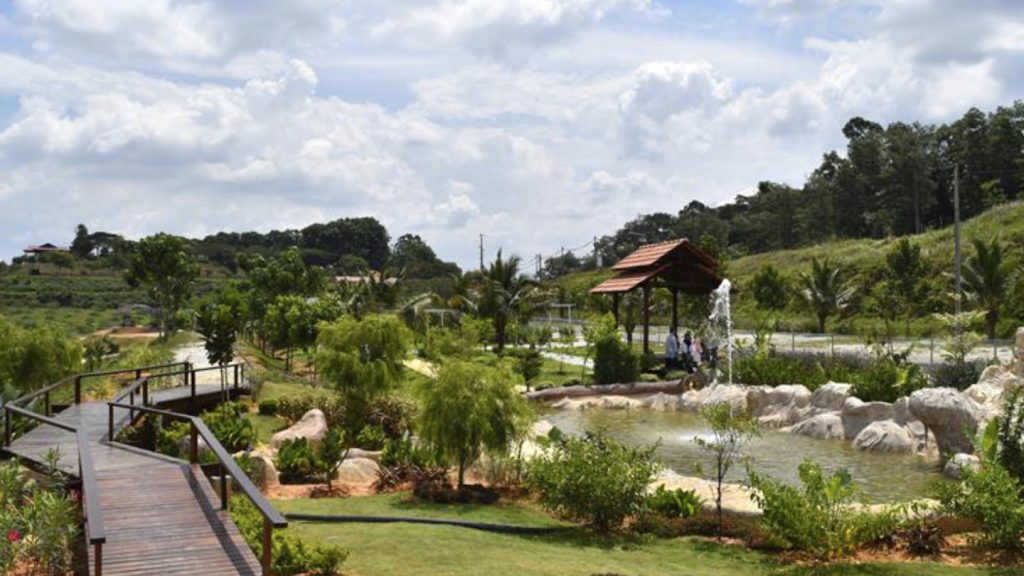 Things To Do – Selangor Fruit Valley