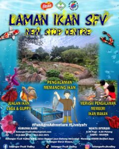 Selangor Fruit Valley – Sharing the Experience