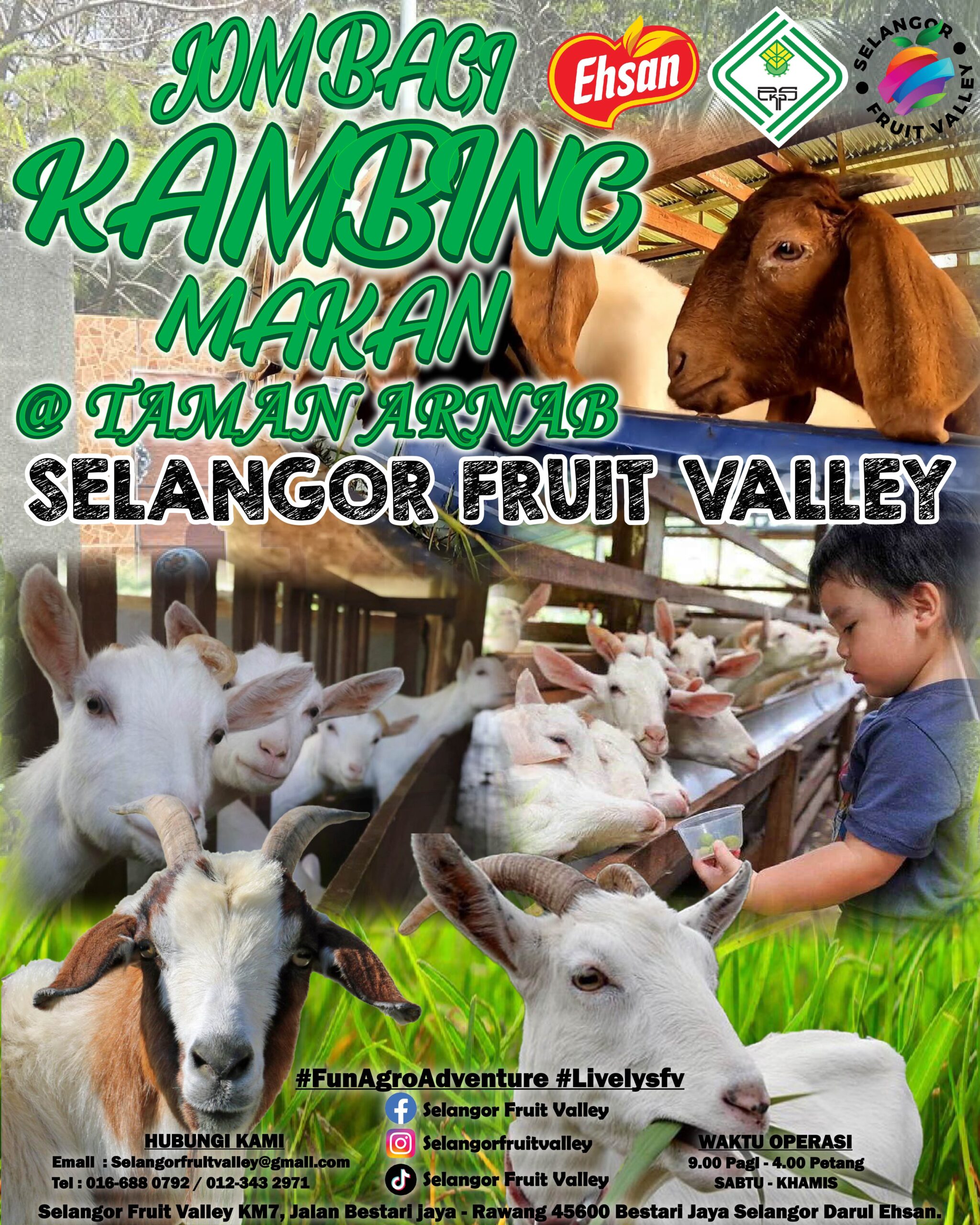 Selangor Fruit Valley – Sharing the Experience