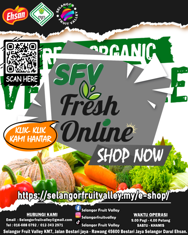 Selangor Fruit Valley – Sharing the Experience