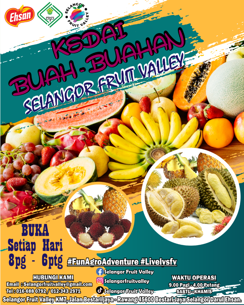 Selangor Fruit Valley – Sharing the Experience