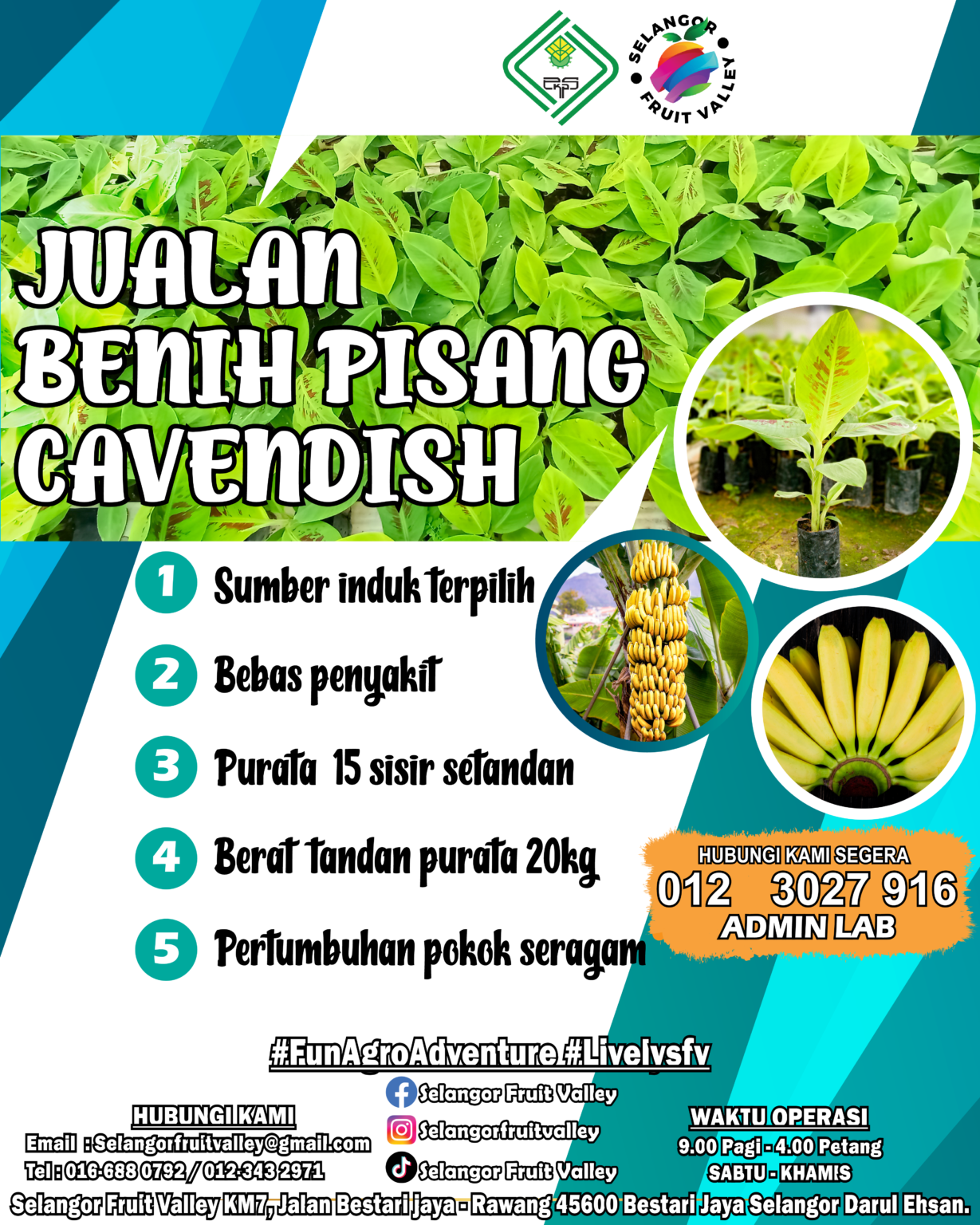 Selangor Fruit Valley – Sharing the Experience